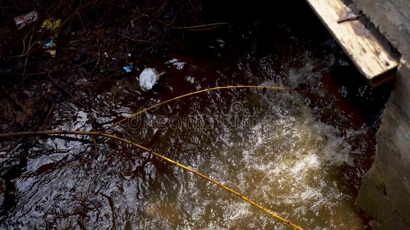 Dirty Water Flows from the Pipe into the River, Environmental Pollution ...