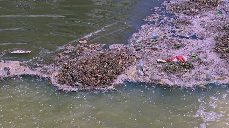 Dirty Water People Plastic Pollution Waste Stock Video - Video of food ...
