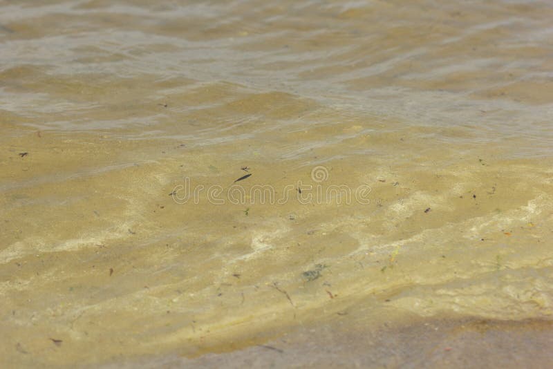 Dirty Water of River Washed by Waves. Pollution Environment Stock Image ...