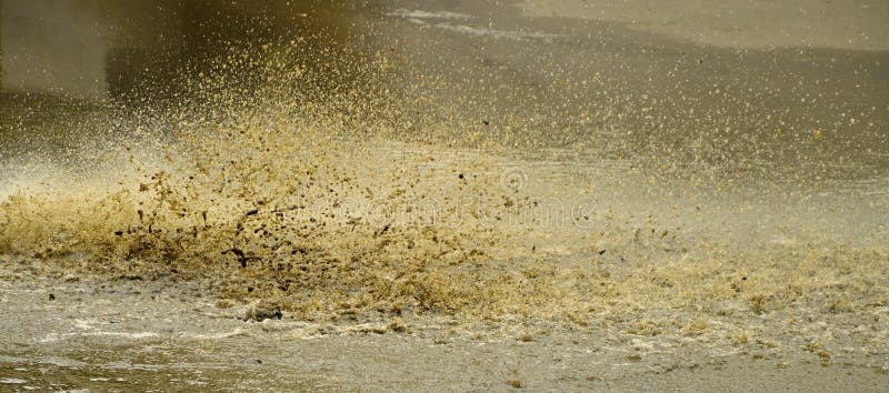 Dirty water stock image. Image of cleaning, dirty, biological - 54200733