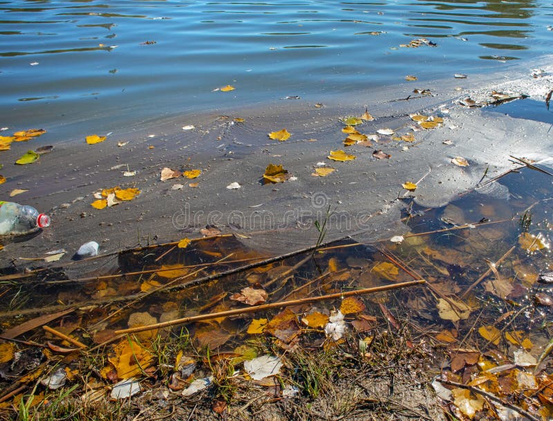 Dirty Water Surface Close-up Pollution of Water Bodies and the ...