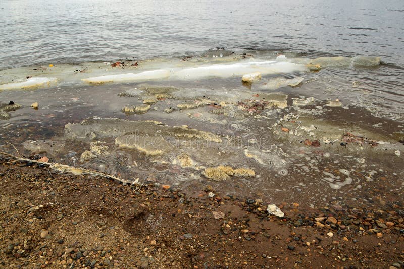 Dirty Wave with Mud Foam. Dirty Sea Surf Lines Made of Algae in the ...