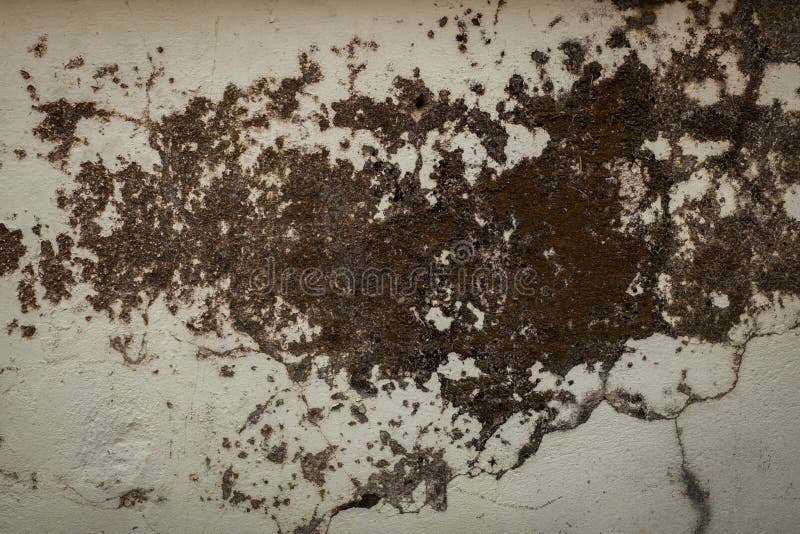 Dirty White Wall Background Stock Image - Image of grunge, grey: 74652813