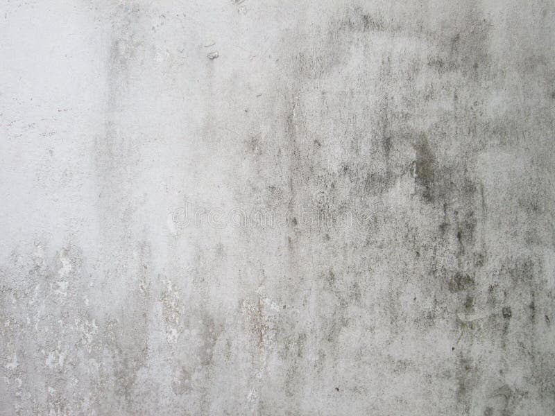 Dirty white wall stock photo. Image of paint, dirt, abstract - 60289656
