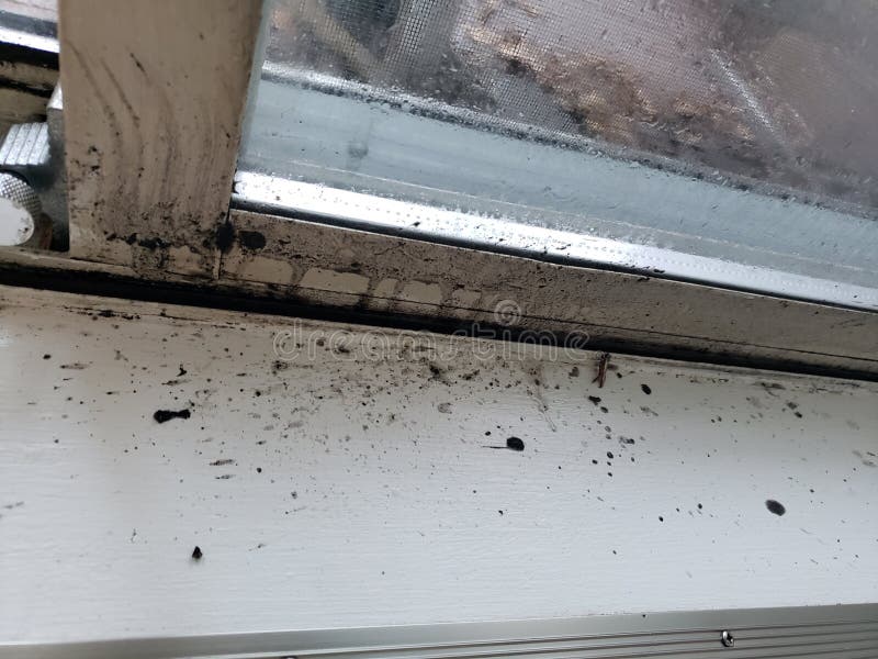 Condensation Window Frames Stock Photos - Free & Royalty-Free Stock ...