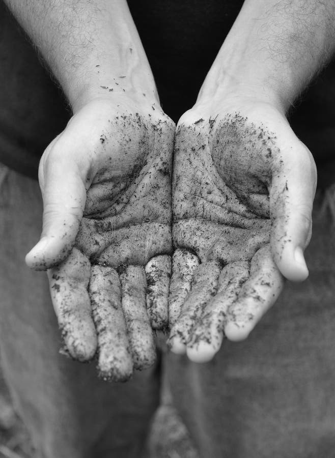 Dirty Work Hands Open stock image. Image of conservation - 26390689