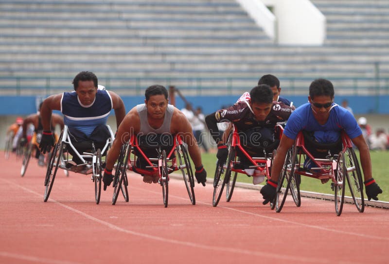 Two Young Polar Bears Playing Stock Photo - Image of bear, happy: 21114662