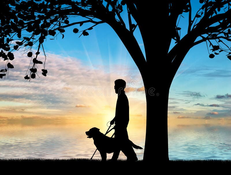 Disabled Blind with Cane and Dog Guide Under Tree Near Sea Sunset Stock ...