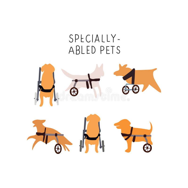 Disabled Dogs Stock Illustrations – 185 Disabled Dogs Stock ...
