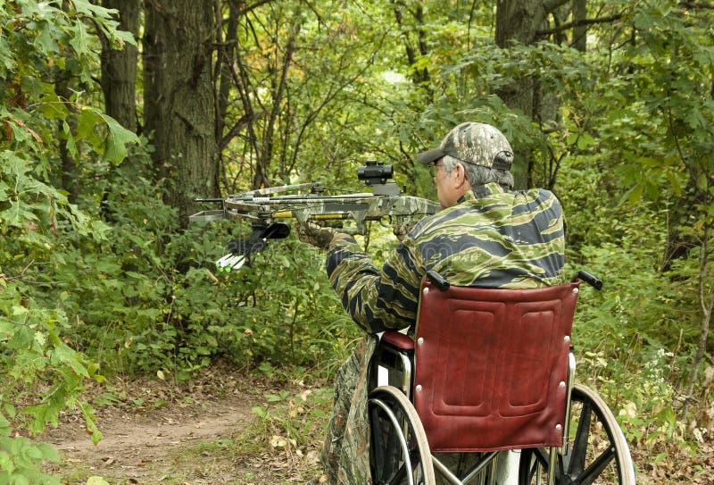 Disabled hunter stock image. Image of hunter, trees, woods - 22406123