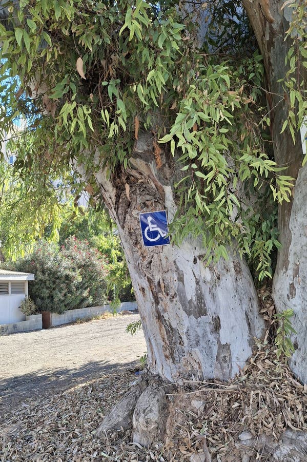 "Disabled Parking only" Sign on a Tree Trunk Stock Image - Image of ...