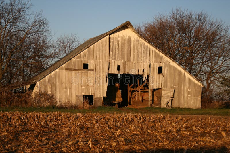 Disappearing from Our Landscape Stock Photo - Image of cattle, grain ... Disappearing from Our Landscape Stock Photo - Image of cattle, grain ...