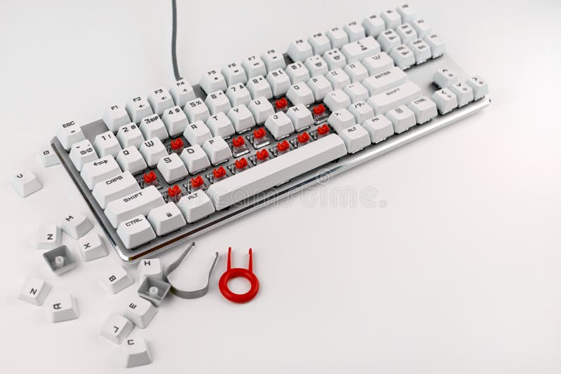 Cherry Switches Stock Photos - Free & Royalty-Free Stock Photos from ...