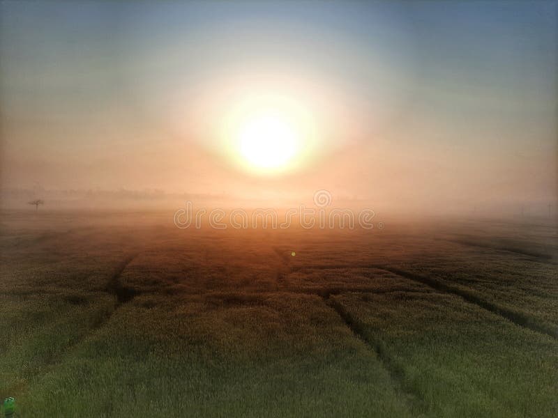 Disaster Sun Wave Arrival stock photo. Image of arrived - 242981052