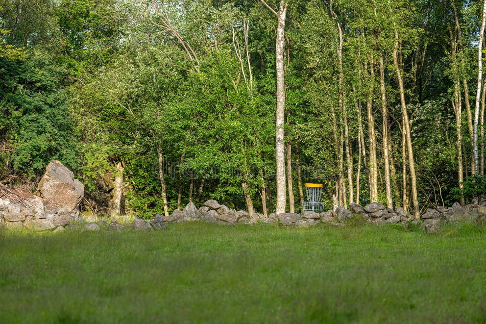 Disc Golf Basket in Forest Clearing.. Stock Photo - Image of park ...