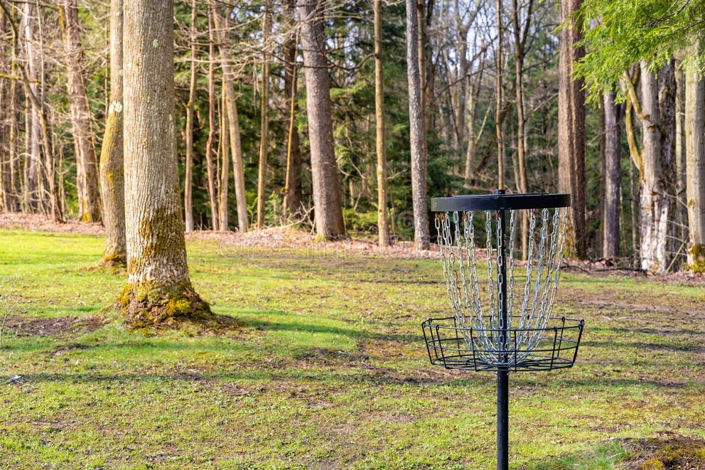 Disc Golf Basket in a Tranquil Forest. Stock Image - Image of ...