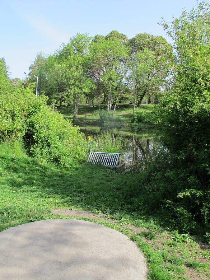 Disc Golf Course stock image. Image of sports, golf - 132110549