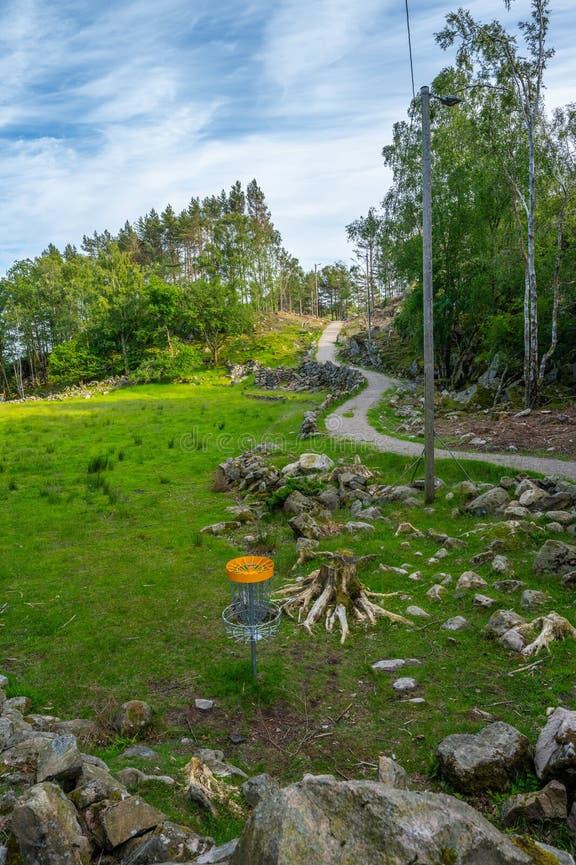 Disc Golf Target in a Field by a Forest.. Stock Image - Image of ...