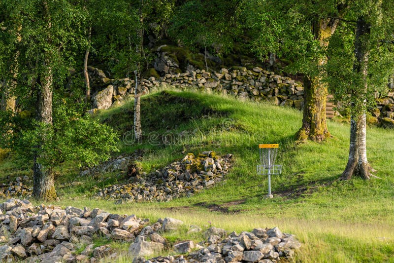 Disc Golf Target in a Forest Clearing.. Editorial Stock Image - Image ...