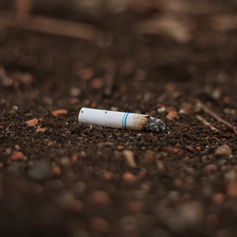 Discarded Cigarette stock photo. Image of dependency - 56627762