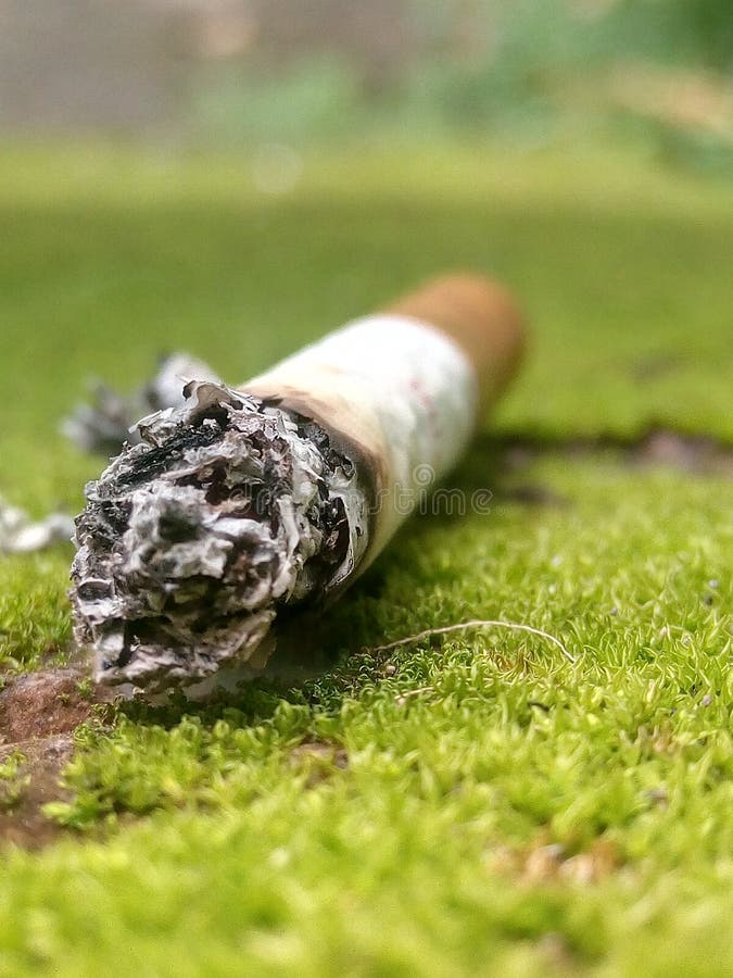 Discarded cigarette butts stock image. Image of toxin - 210152111