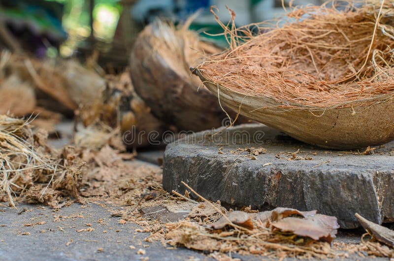 Discarded Coconut Husk or Coconut Shell. Stock Photo - Image of bark ...