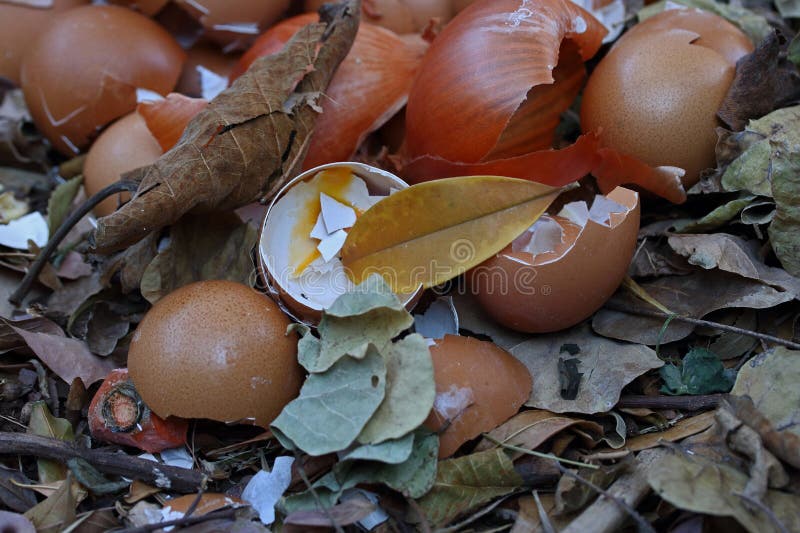 Discarded Empty Egg Shells Stock Photos - Free & Royalty-Free Stock ...