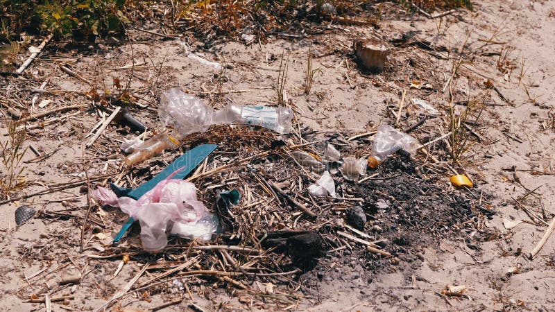 Discarded Garbage from Plastic Bottles, Plastic Bags in Sun in Forest ...