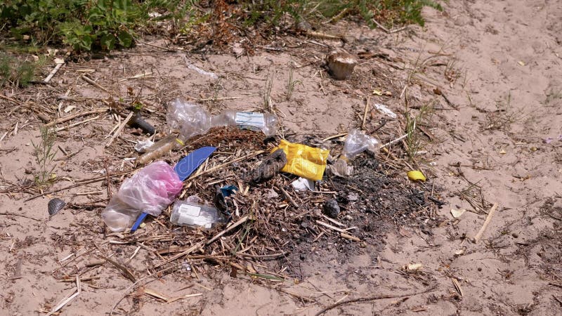 Discarded Garbage from Plastic Bottles, Plastic Bags in Sun in Forest ...