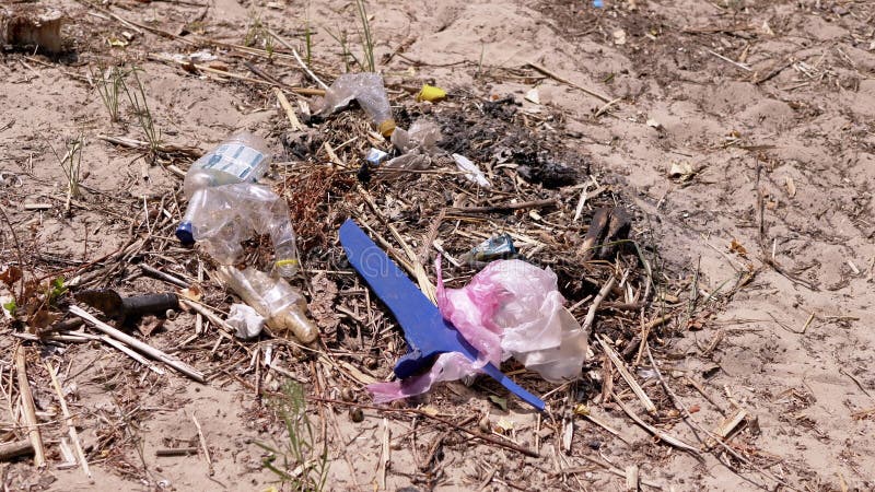 Discarded Garbage from Plastic Bottles, Plastic Bags in Sun in Forest ...