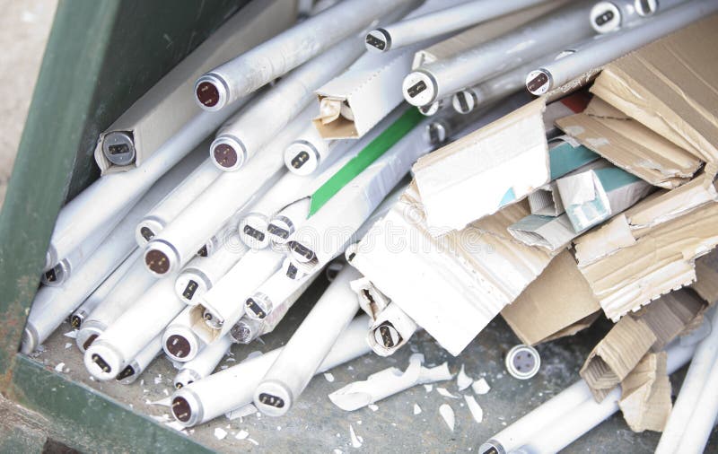 Discarded Light Bulbs Fill Box at Recycling Event Editorial Photography ...