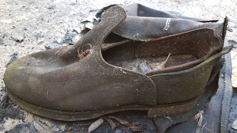 232 Old Discarded Shoes Stock Photos - Free & Royalty-Free Stock Photos ...