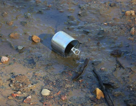 Discarded Open Empty Tin Can Lies on the Wet Ground Stock Photo - Image ...