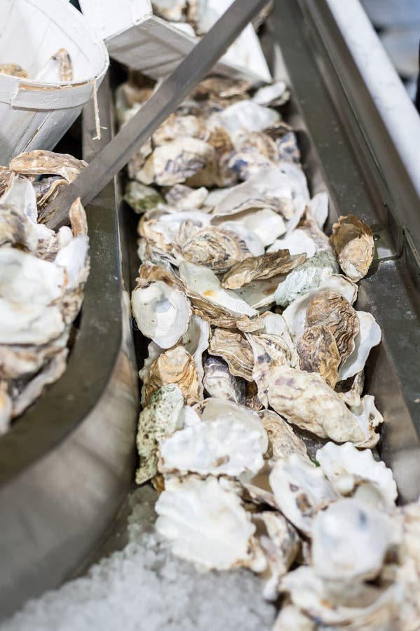 Discarded Oyster Shells at an Oyster Stall Stock Photo - Image of heap ...