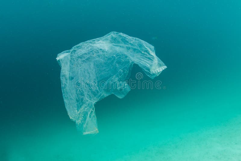 Discarded Plastic Bag Drifting in Tropical Pacific Ocean Stock Image ...