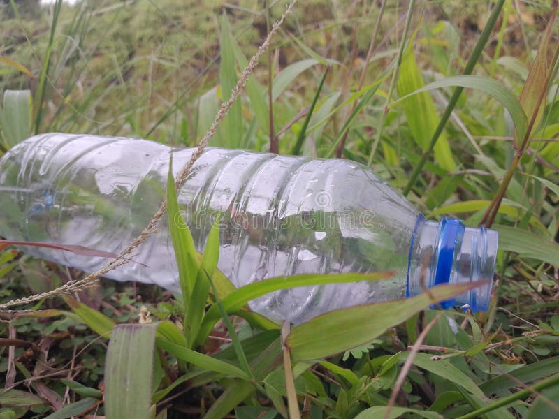 Discarded Plastic Bottle on the Grass Stock Photo - Image of waste ...