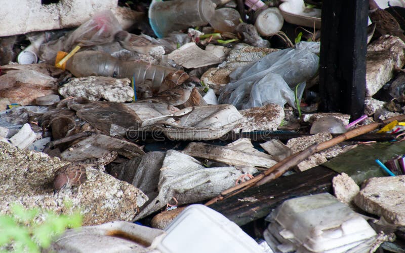 Piles of the Different Garbage on a Ground Stock Photo - Image of flora ...
