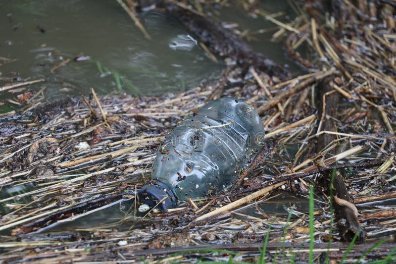 Discarded Single-use Plastic Bottle Floating in the Water Stock Image ...