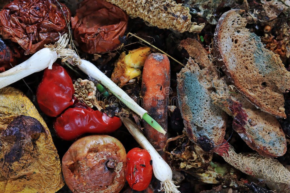 Discarded and Spoiled Food in a Garbage Heap Stock Photo - Image of ...