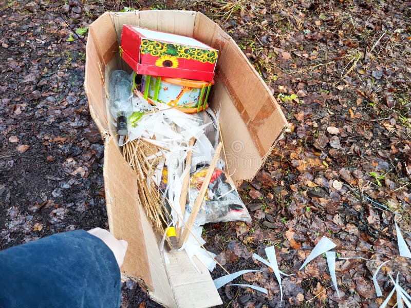 Garbage Scattered in a Cardboard Box Along a Forest Path Showcasing ...