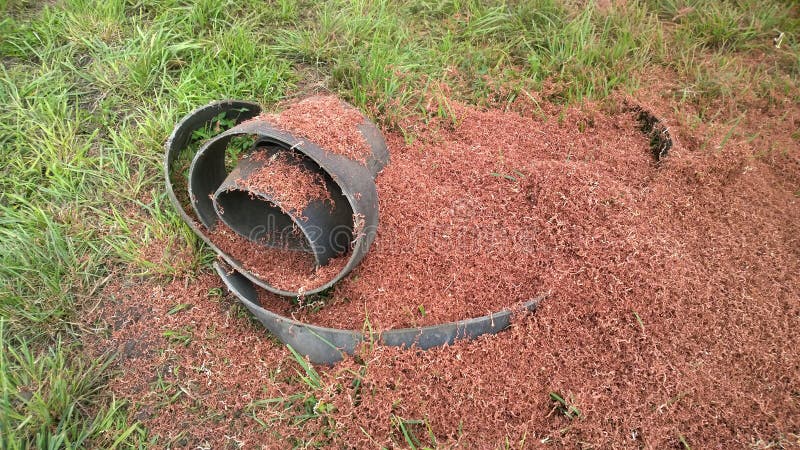 Discards stock photo. Image of belt, shavings, power - 253294438