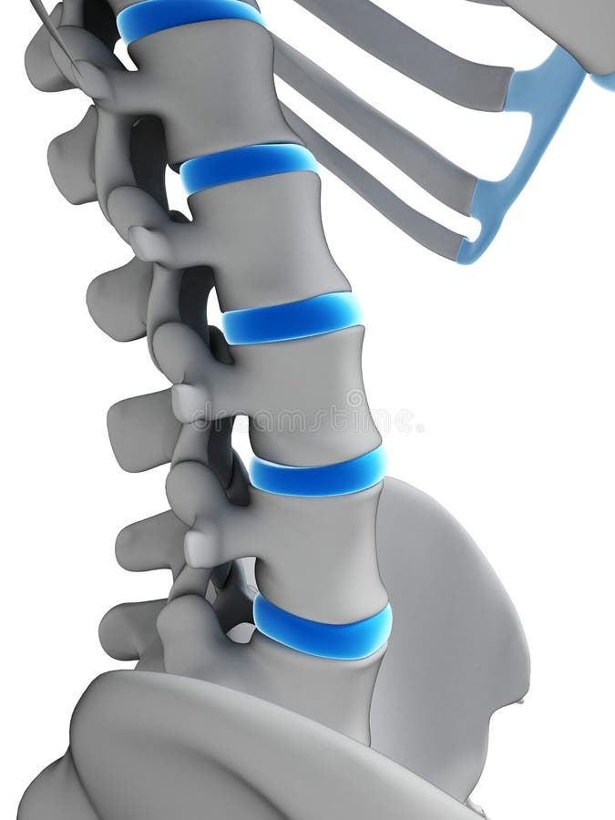 Dischi intervertebrali illustrazione di stock. Illustrazione di salute ...