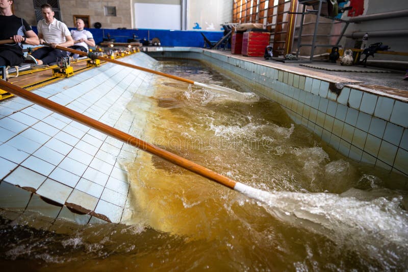 Disciplined Synchronized Rowers Maneuver Oars Perfecting Technique on ...