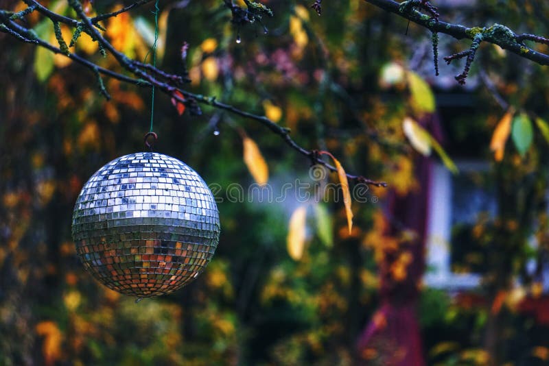 Disco Ball Hangs in a Tree in Autumn Stock Photo - Image of hangs ...