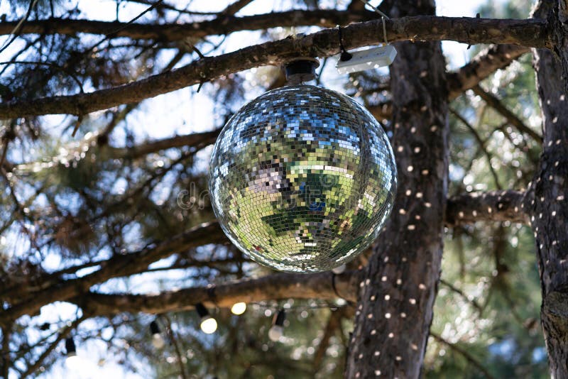 Disco Ball on a Tree on a Sunny Day Stock Image - Image of nightclub ...