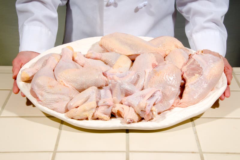Disco del pollo imagen de archivo. Imagen de poultry, fresco - 4745927
