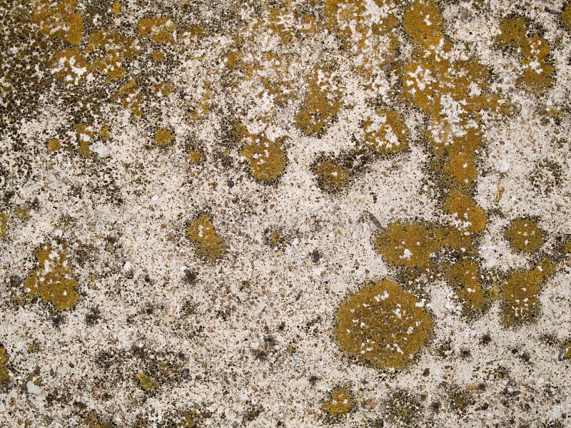 Discoloured Concrete stock photo. Image of patch, detail - 646472