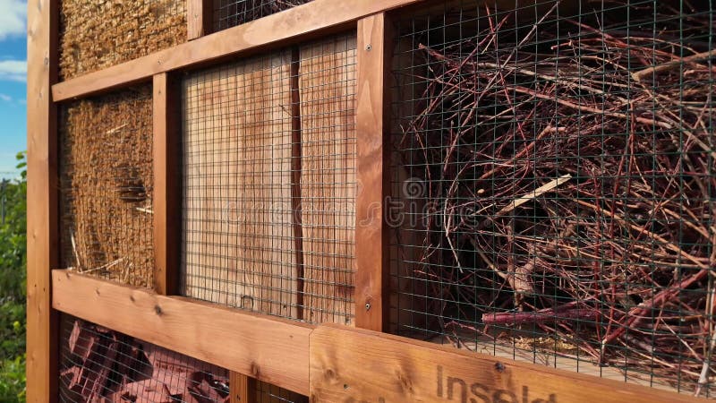 Creating a Unique Insect Hotel Using Natural Materials in a Garden ...