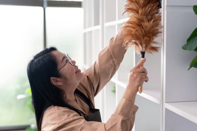 Housekeeper Cleaning Tips Modern Home Article Bright Environment Upward ...