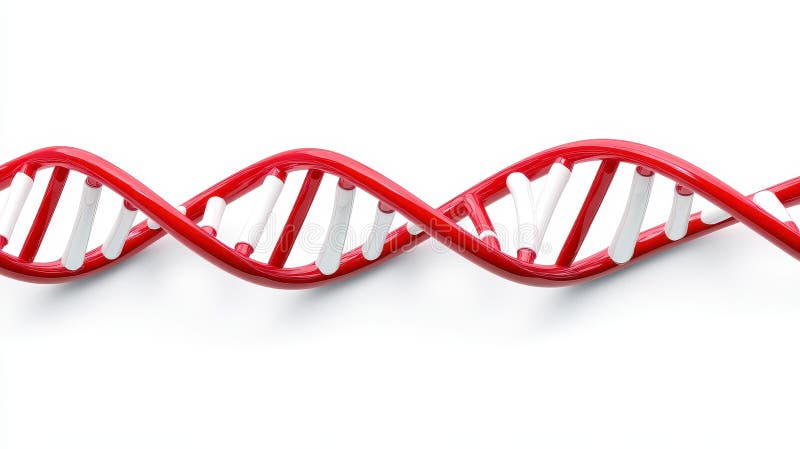Discover the Elegant Structure of DNA, the Blueprint of Life ...